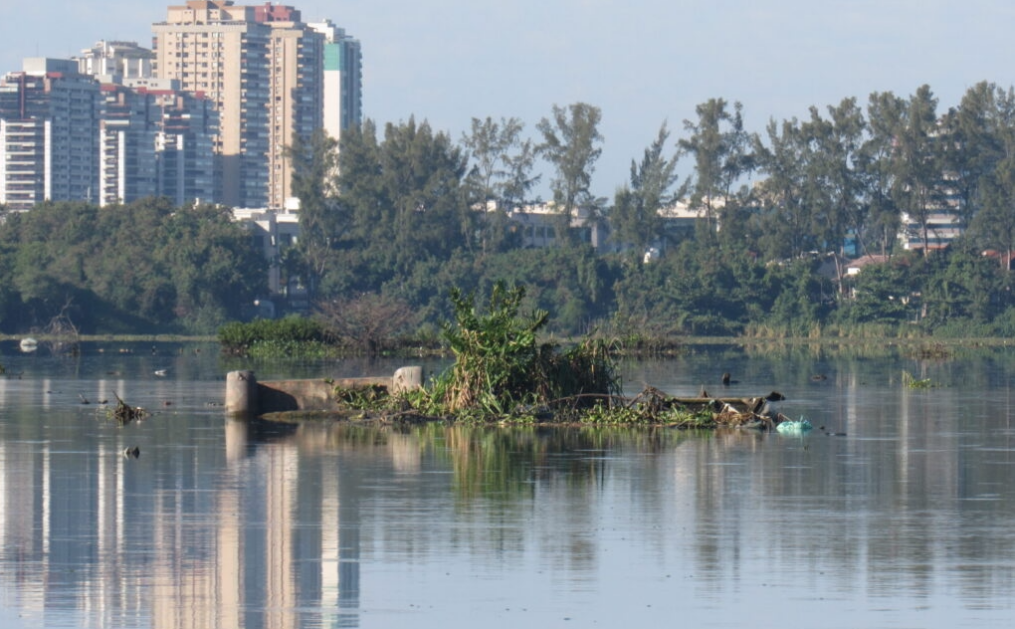 The Degradation of Rio de Janeiro’s Urban Wetlands, Part 2: Pollution ...